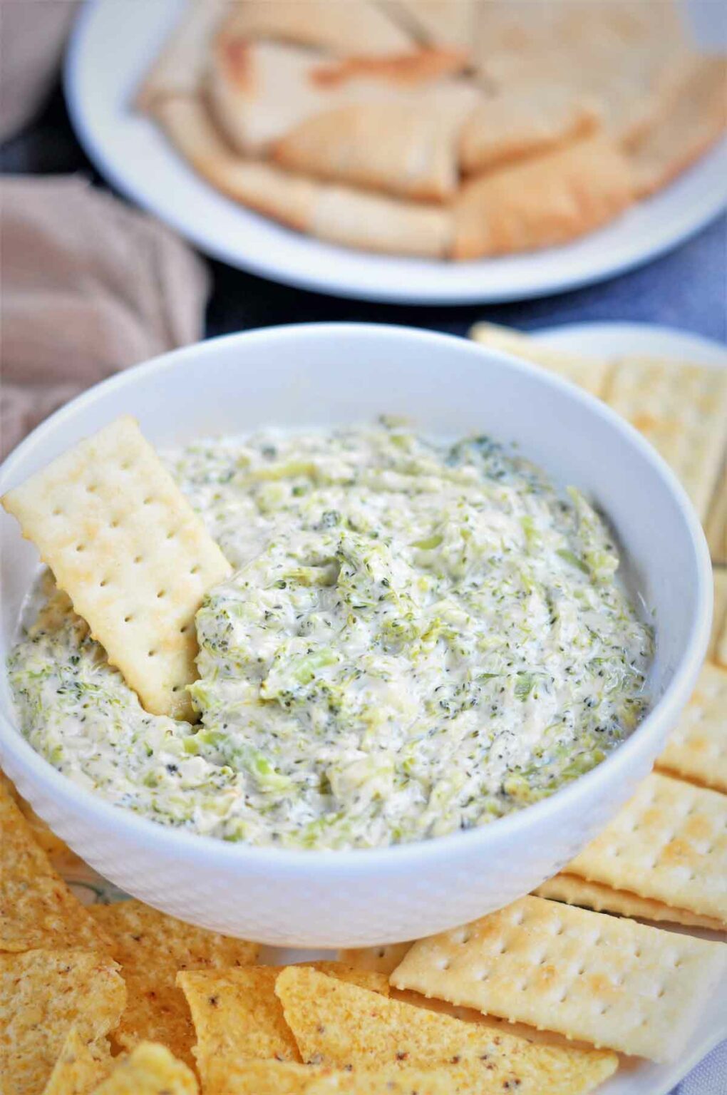 Broccoli Cheese Dip - Culinary Shades