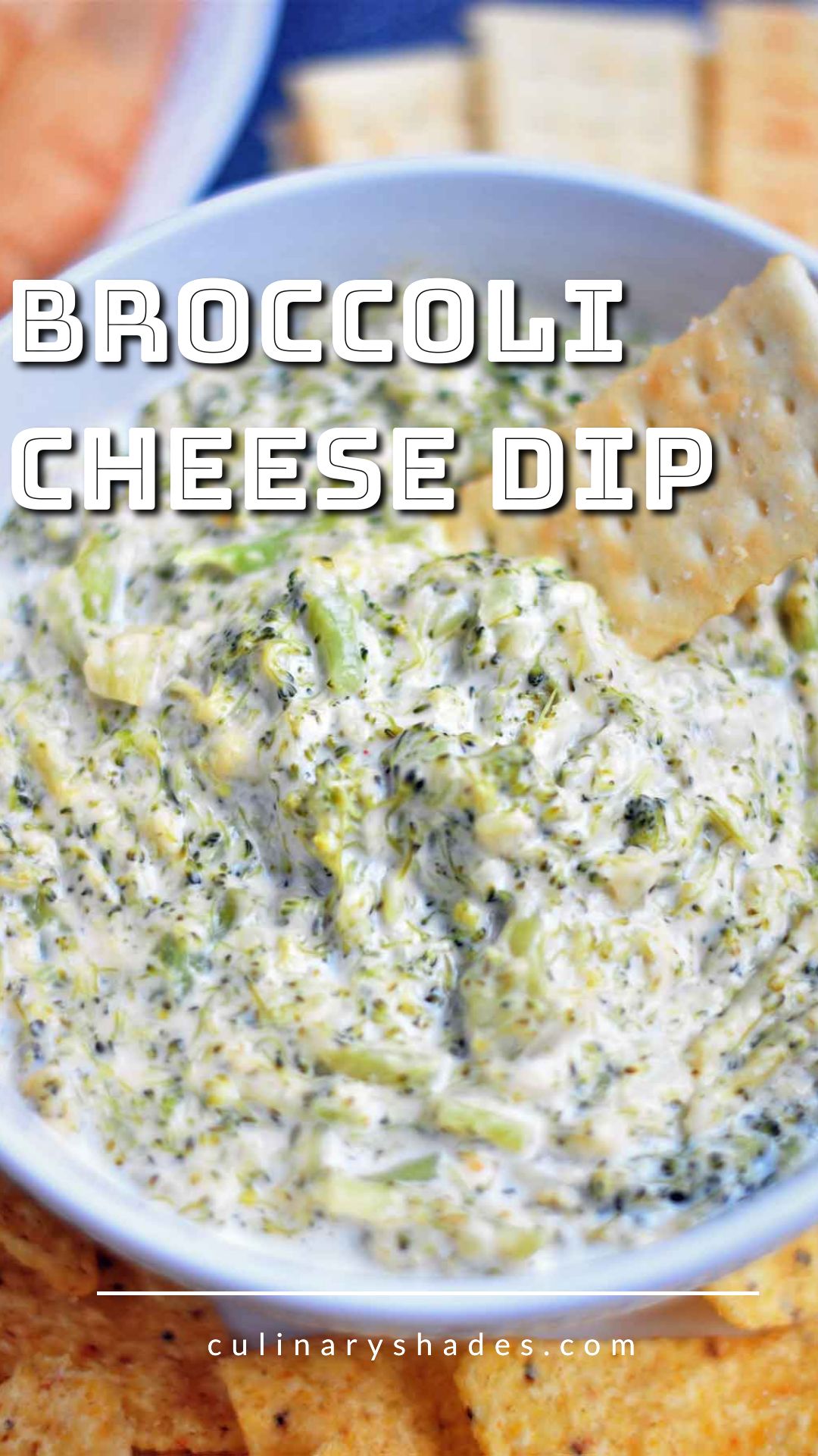Broccoli Cheese Dip - Culinary Shades