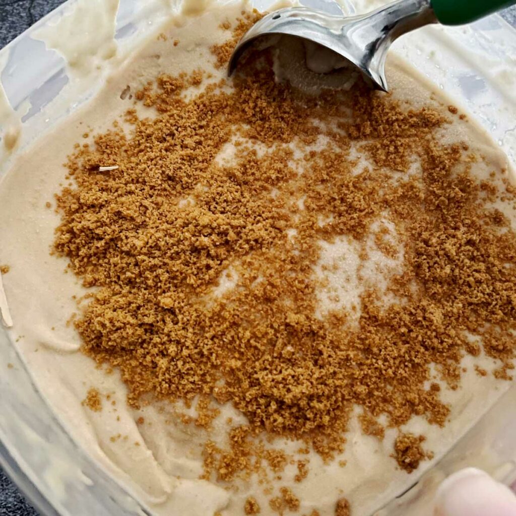 Biscoff Ice Cream - Culinary Shades