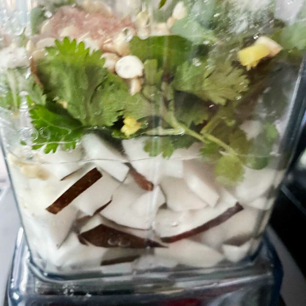 Coconut Chutney - Culinary Shades
