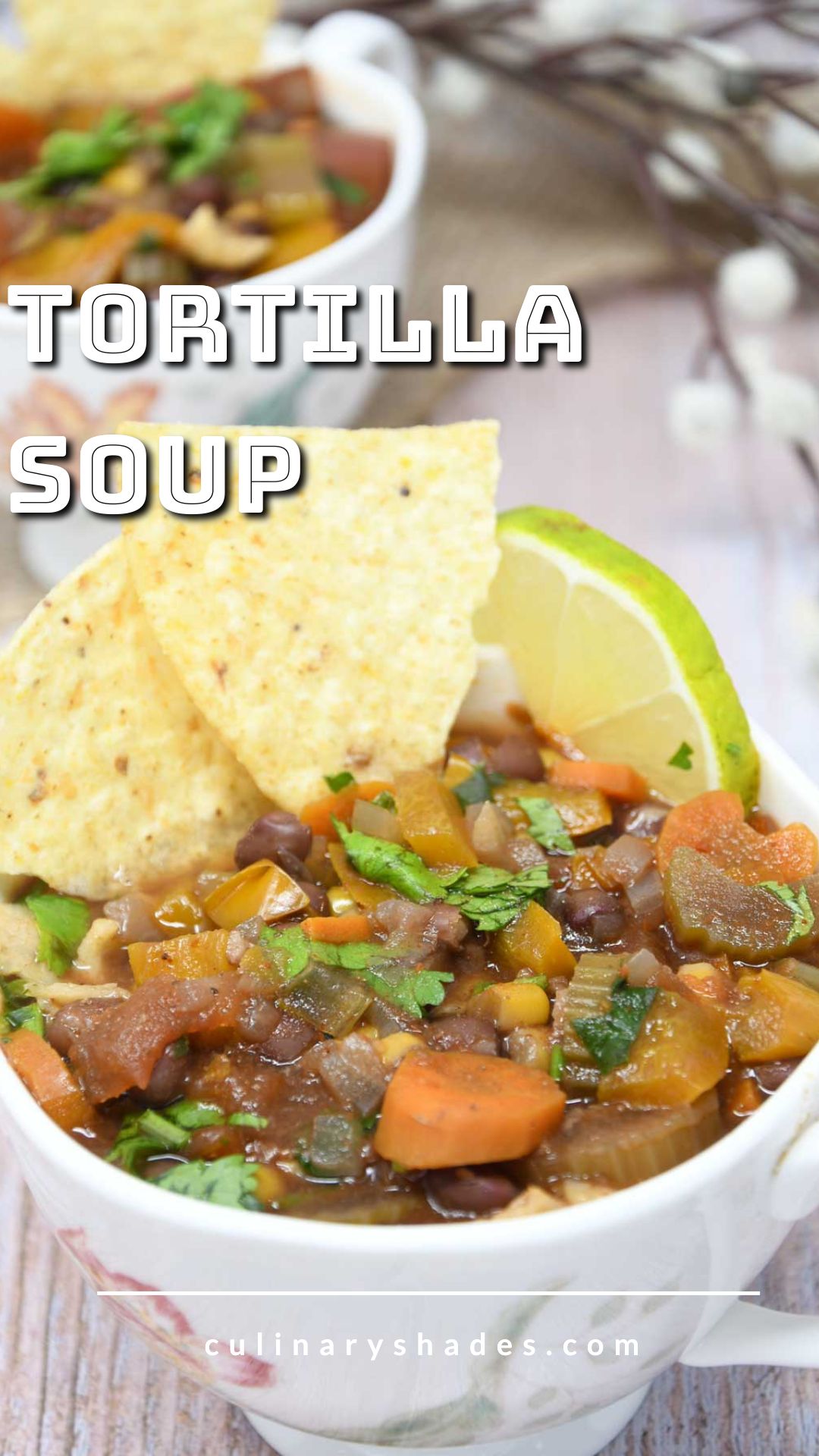 Instant Pot Tortilla Soup - Culinary Shades