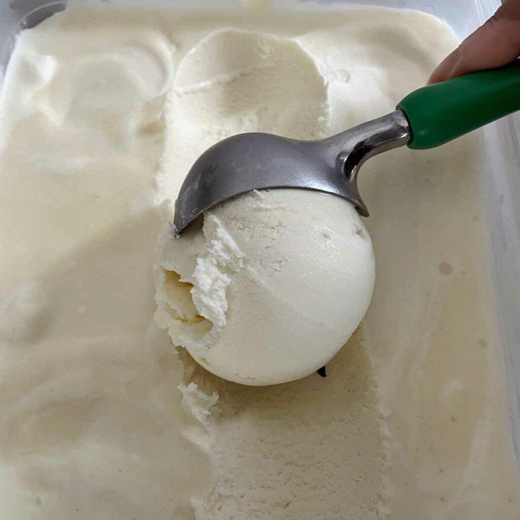 Ginger Ice Cream - Culinary Shades