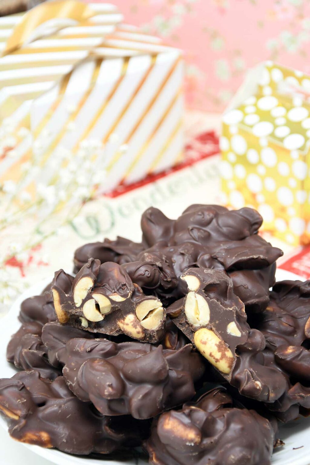 Chocolate Covered Peanuts - Culinary Shades