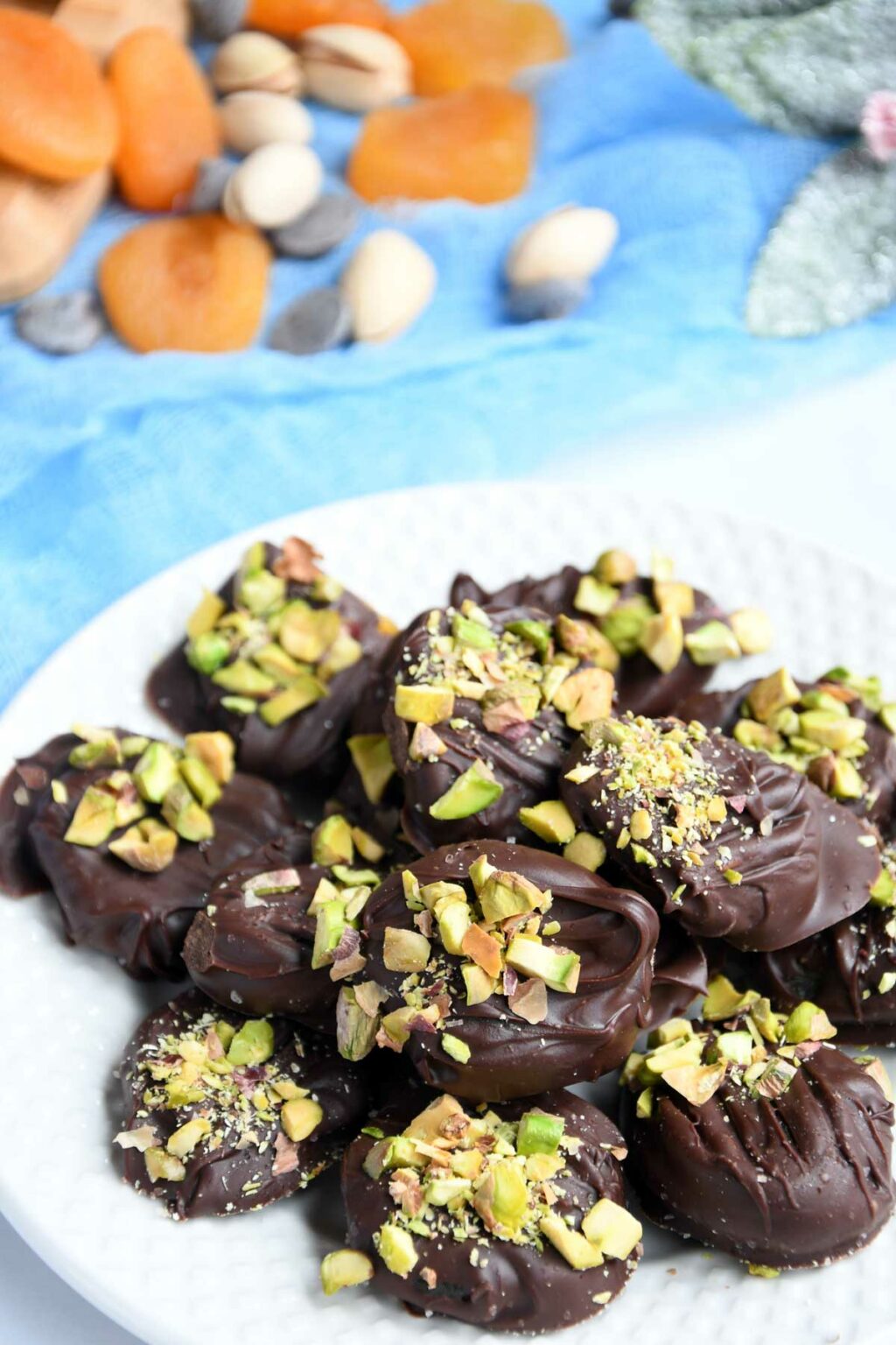 Chocolate Covered Apricots - Culinary Shades